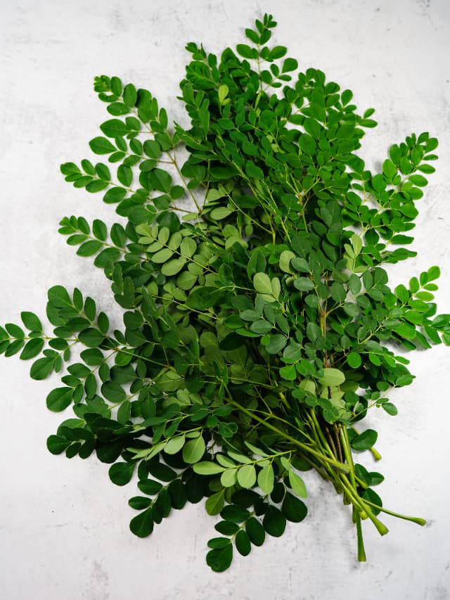 Why should you eat Moringa leaves? Easy cleaning tips Why should you eat Moringa leaves? Easy cleaning tips