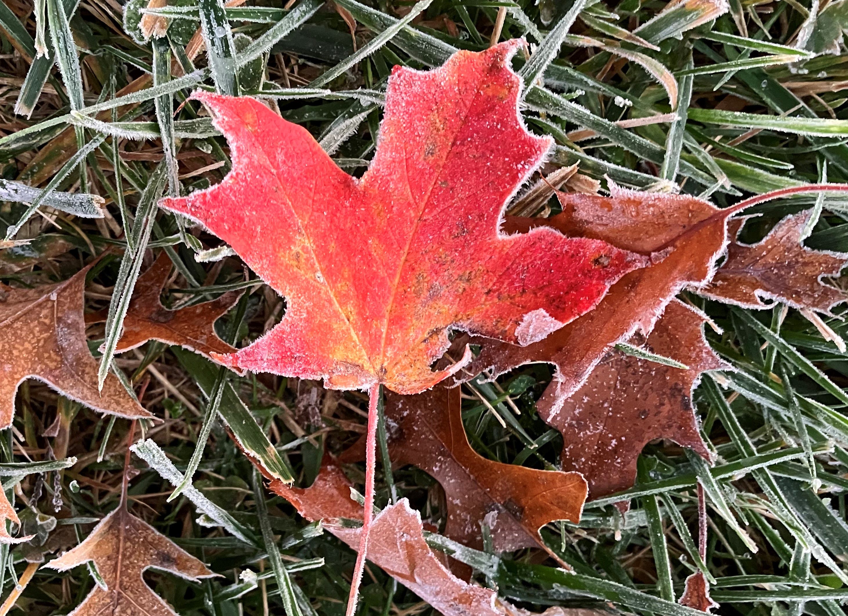 Can folklore forecast winter and fall weather in Mississippi? What to know