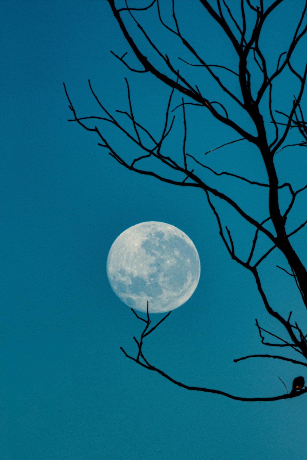 How To See October's Supermoon From London's Highest Point