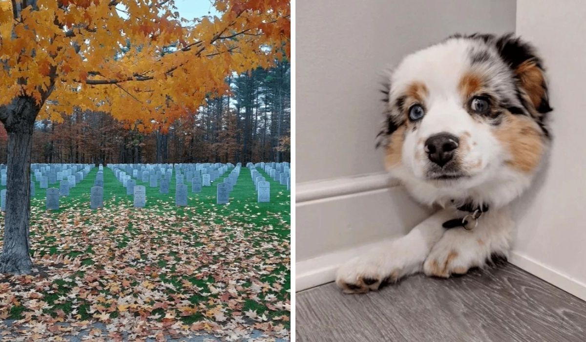 19 Captivating Snaps That Make You Question What’s Real