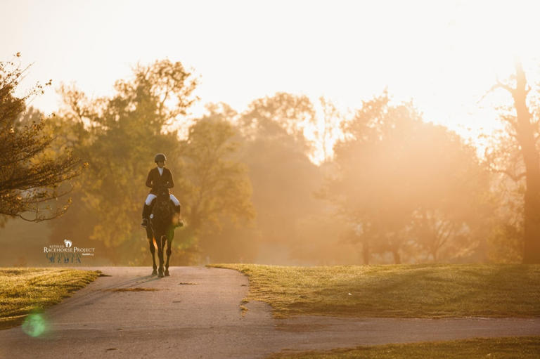 Final Entry List For 2025 Thoroughbred Makeover Now Complete
