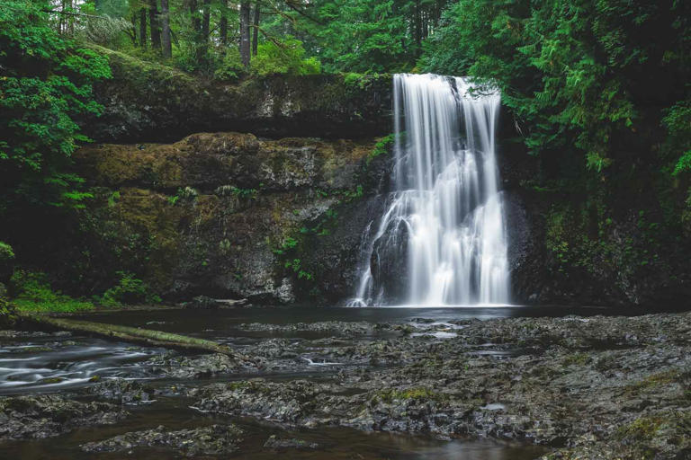 Your Guide to Silver Falls State Park in Oregon