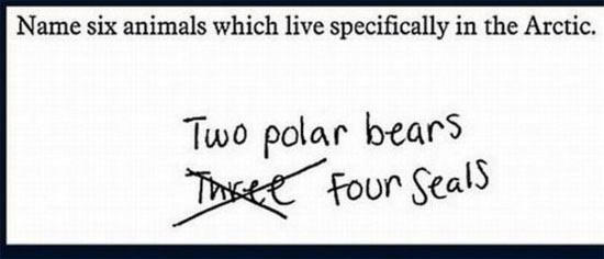 40 Funny Test Answers From Students Who Flunked The Exam But Aced The Humor