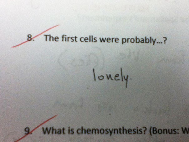 40 Funny Test Answers From Students Who Flunked The Exam But Aced The Humor