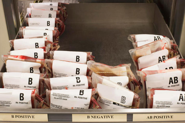 What's Your Blood Type? Try These Methods to Find Yours Now