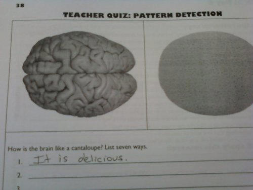40 Funny Test Answers From Students Who Flunked The Exam But Aced The Humor