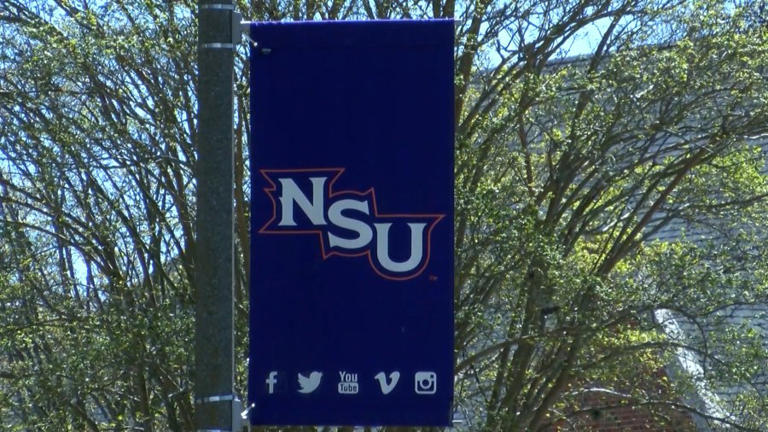 Enjoy music and fun at Flying Heart Brewing for NSU benefit