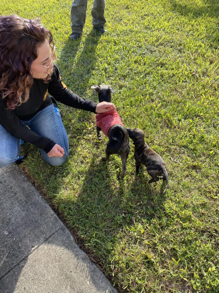 5 Tips for Taking Better Care of Family Pets