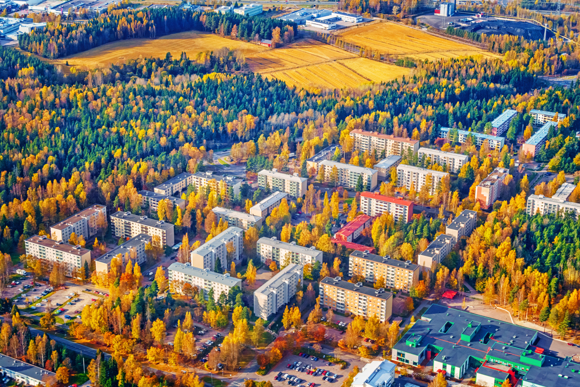 Beetle Moses by Harris Fishman