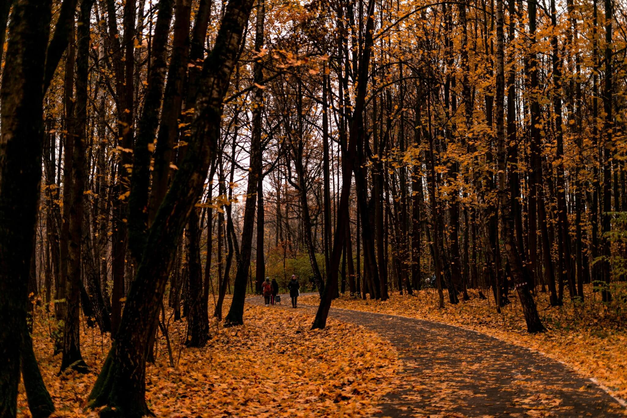 20 Must-Visit Places for Fall Travel