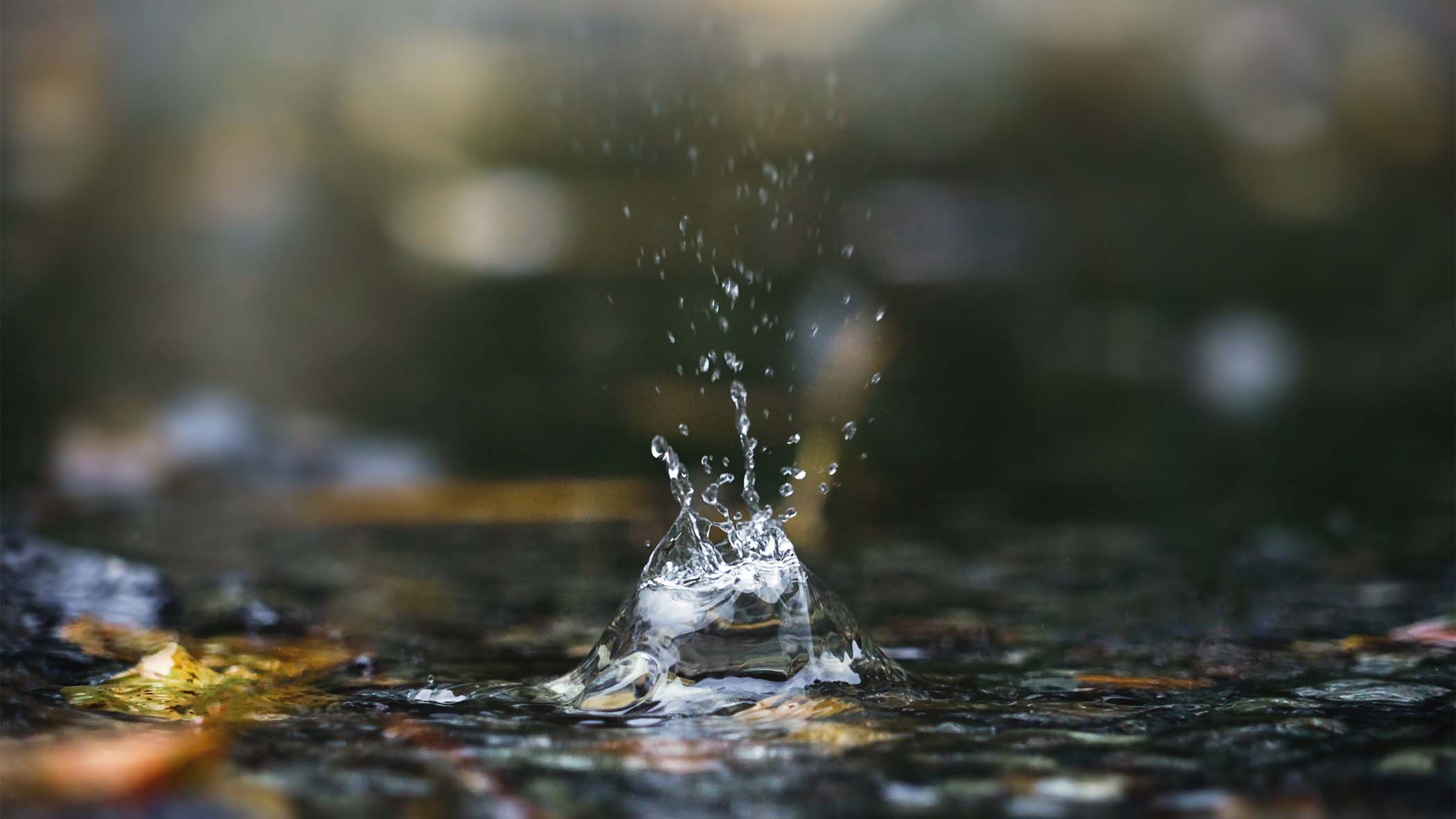 Ask A Met: How Big Can A Raindrop Be?