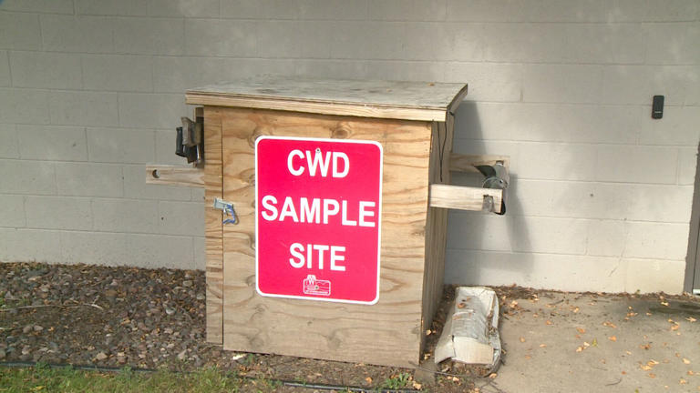 DNR Announces Primary Results Of Southwest Wisconsin CWD, Deer And ...