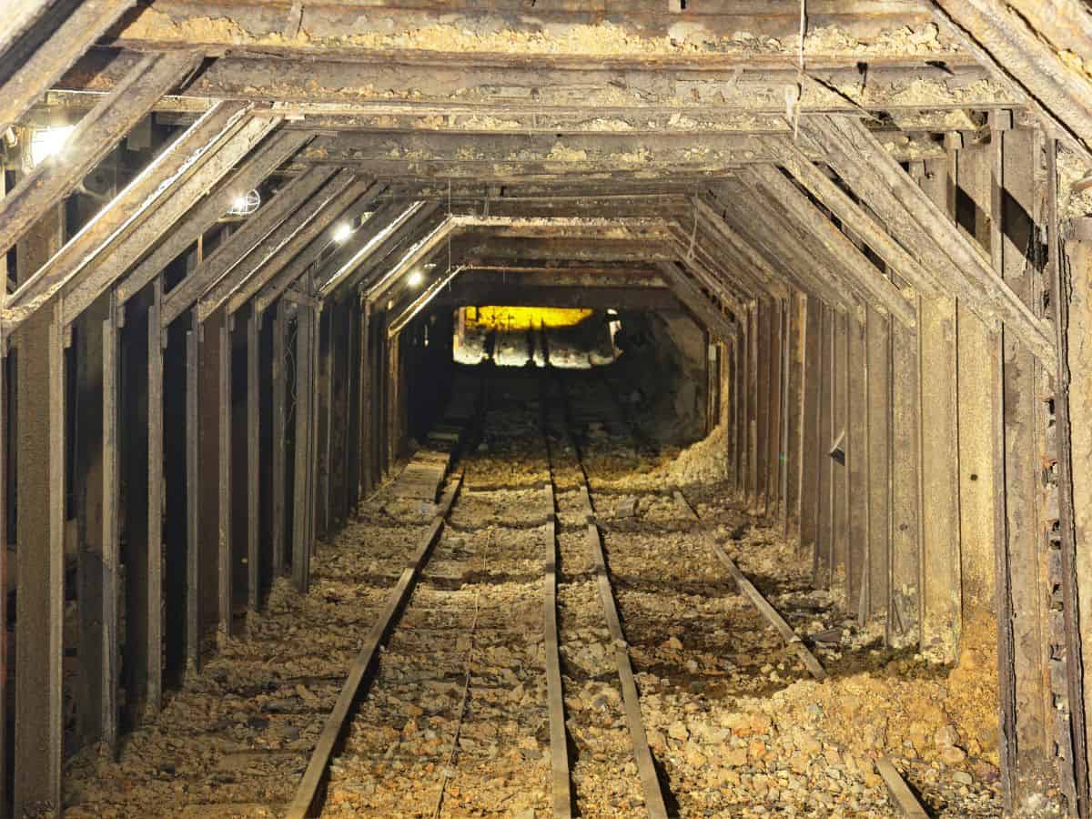 This California state has sunlit hills, fiery Garibaldi fish, and ...