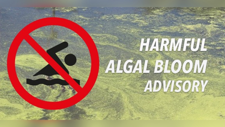 Harmful algal bloom advisory underway for Lake Desoto | What to know