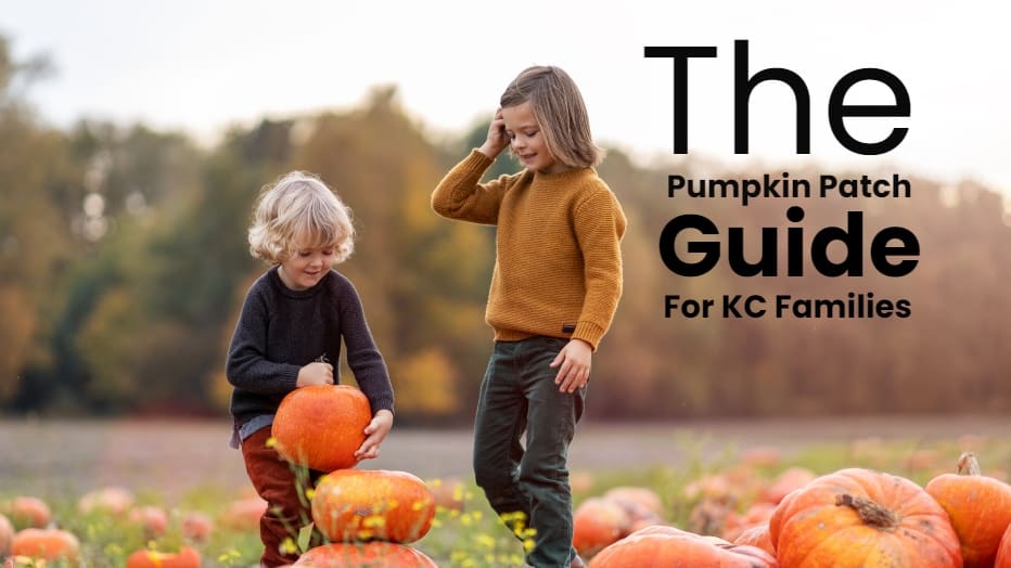 Pumpkin patches in Kansas City (find pumpkins near me)