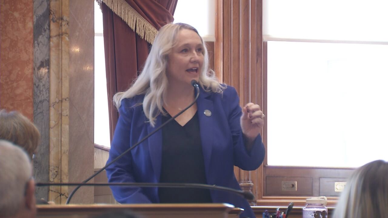 Democrats look to fill Iowa House seat