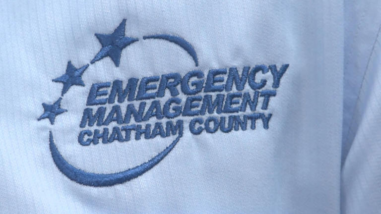 Tree down from wind near Benton Blvd. and State Hwy. 30, says CEMA