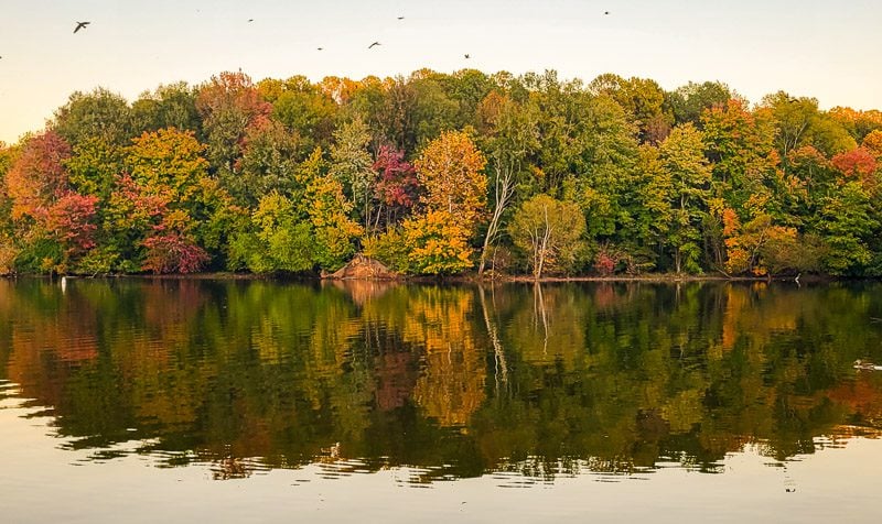 Where To See Fall Colors In Raleigh & The Triangle Region