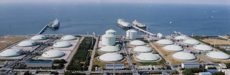 Gioia Tauro, il rigassificatore e l’Alta velocità al centro delle mire ...