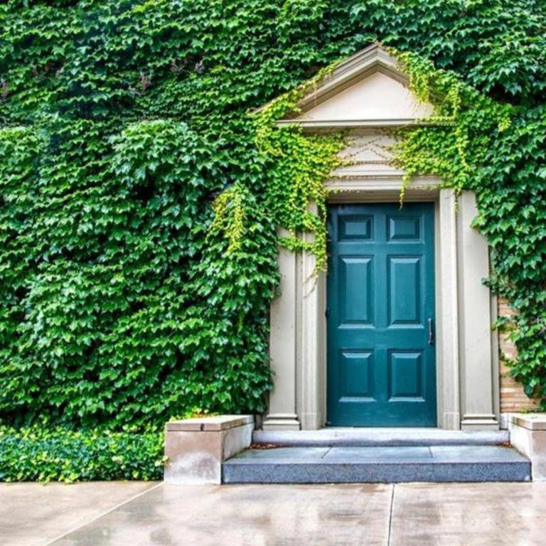 Guns N' Roses' Slash planted a verdant jungle with only narrow flower beds