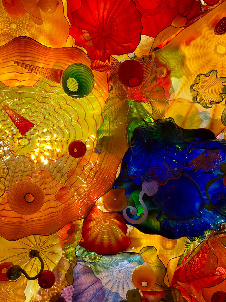 Experience the vibrant glass sculptures of Dale Chihuly