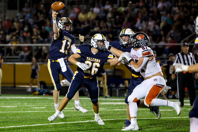 Numbers never lie: Just how good were the Hillsdale Falcons this season?