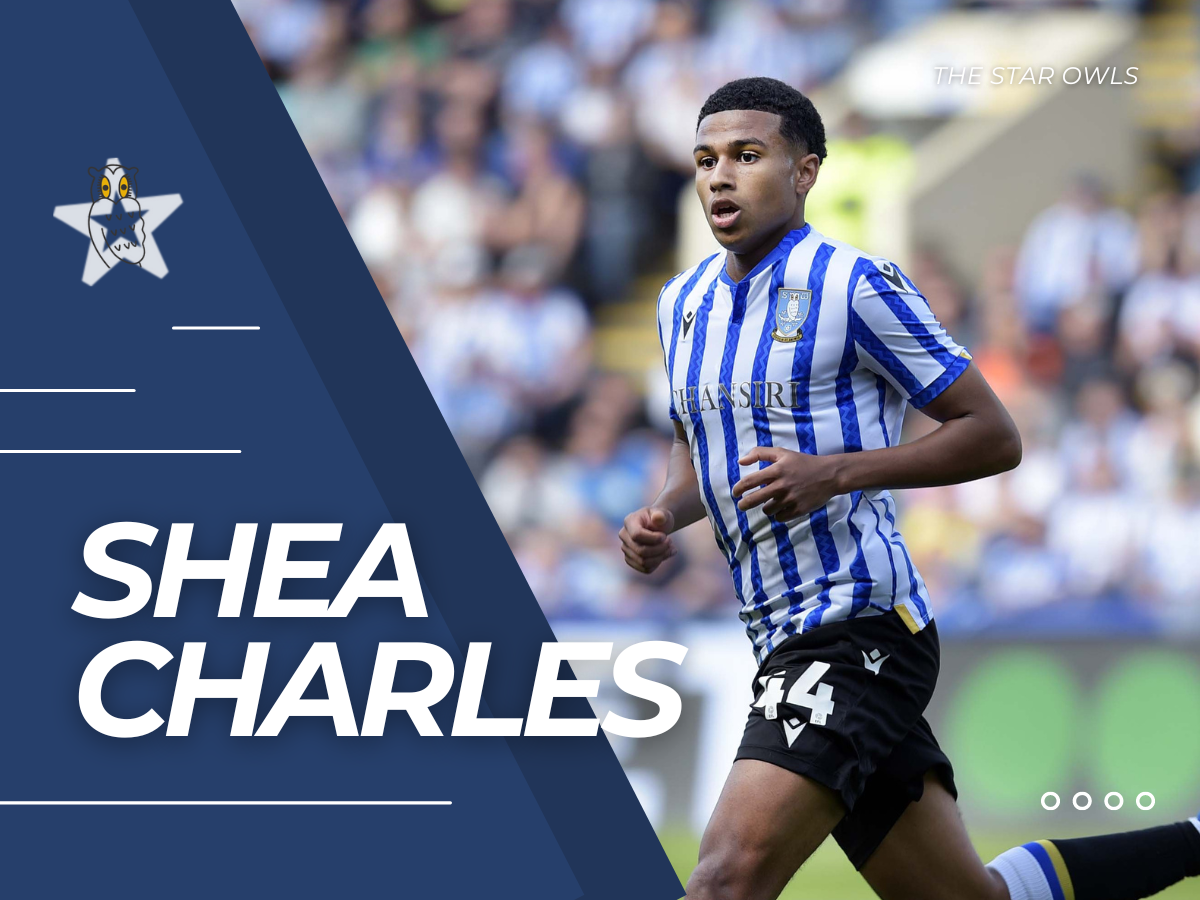 Huff and puff and one 8/10 - Sheffield Wednesday ratings from Swansea ...