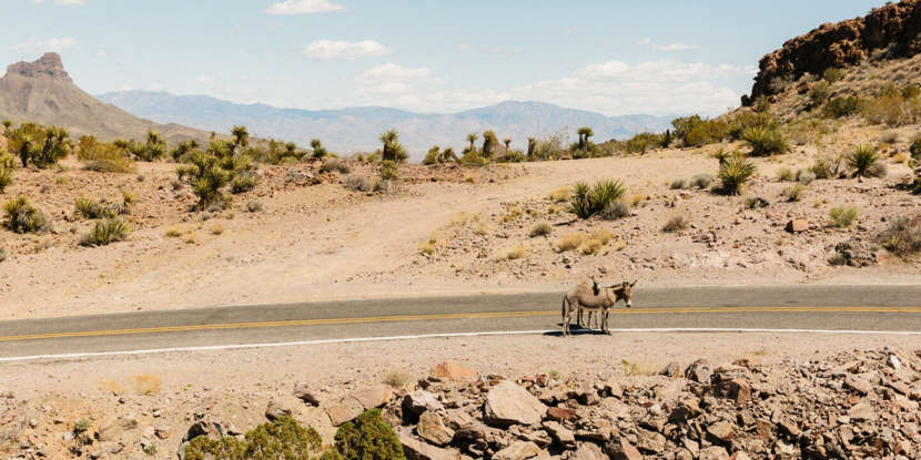 A Photographer's Guide to the Best Route 66 Road Trip A Photographer's Guide to the Best Route 66 Road Trip