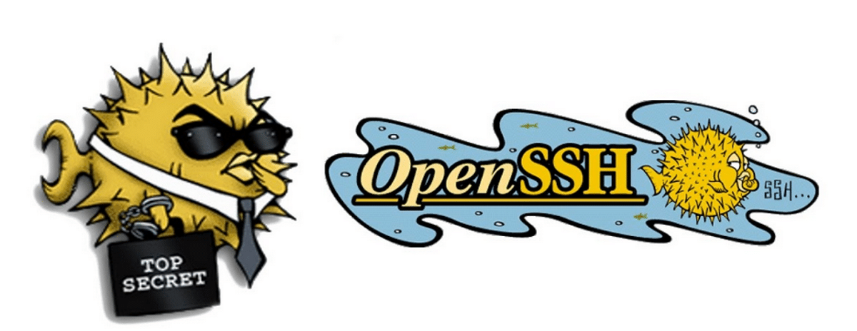 OpenSSH 9.9p2 llega a corregir dos vulnerabilidades MITM críticas