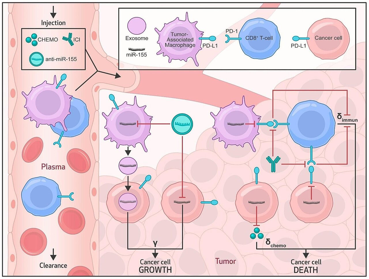 Mathematical model identifies effective drug combinations for non-small ... Mathematical model identifies effective drug combinations for non-small ...