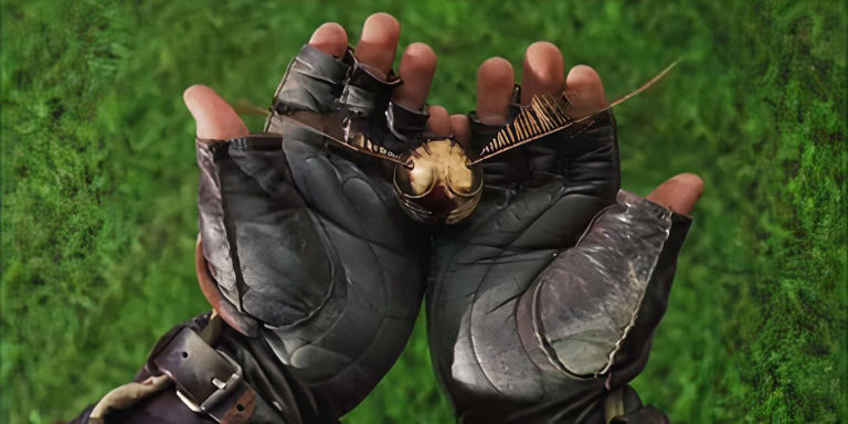 Harry Potter Plot Holes That Don't Actually Matter