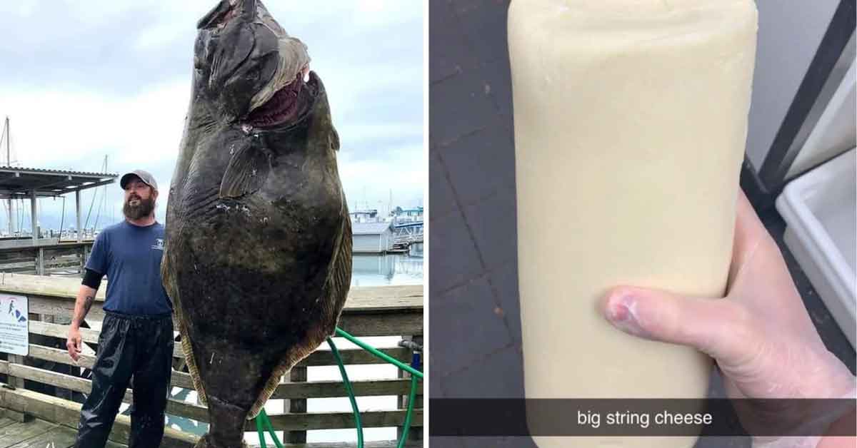 24 Comically Larger Versions of Normal Things