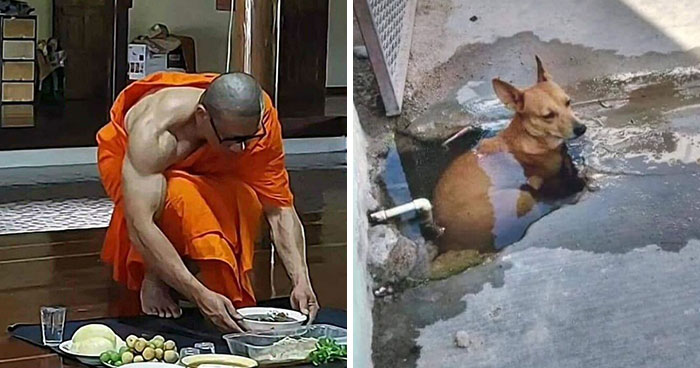 “Pics That Actually Go Hard”: 42 Of The Most Unhinged Posts