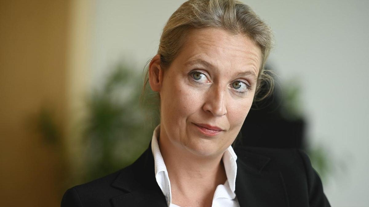Alice Weidel: Partnerin, Wohnort, Politik – Der Steckbrief