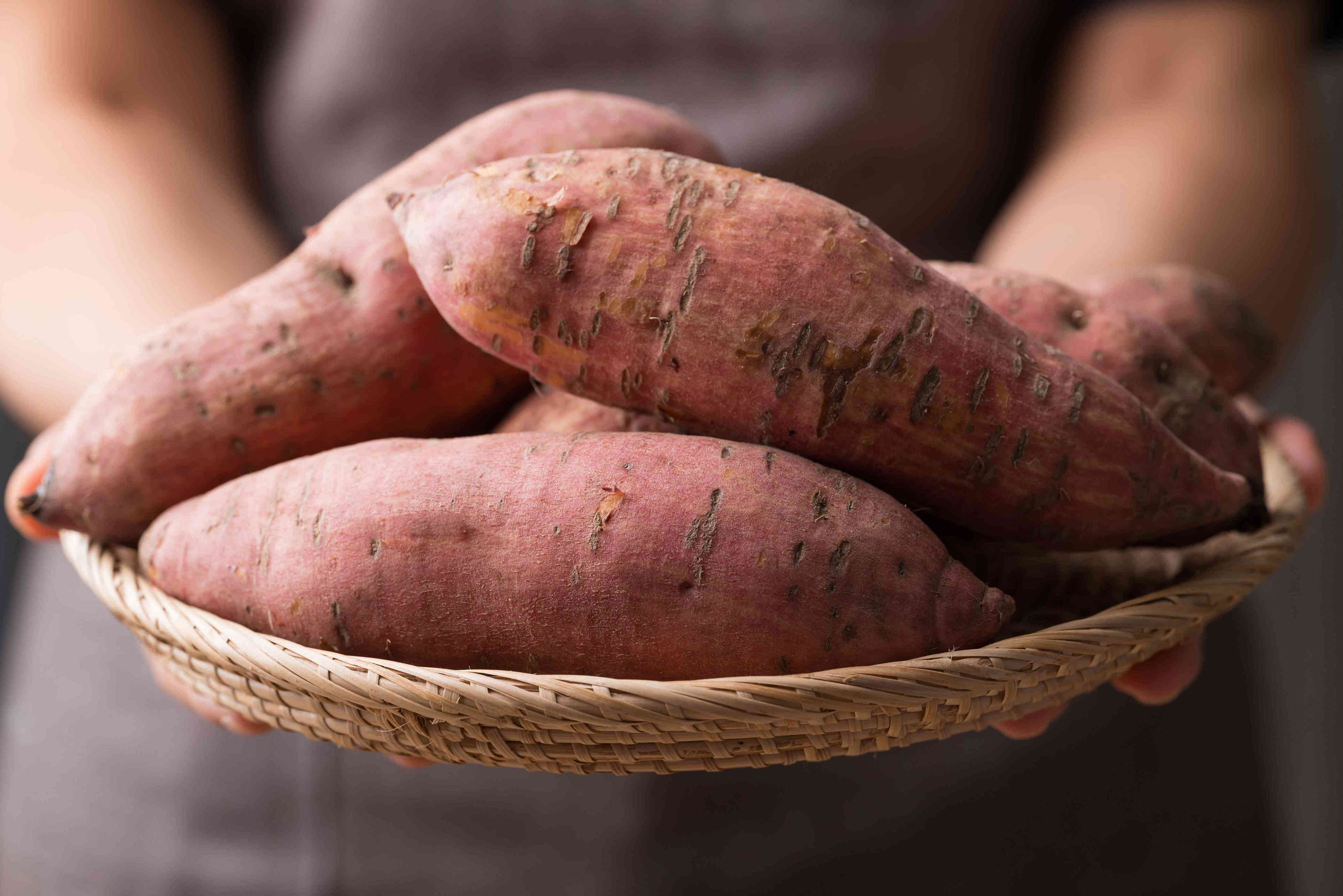 How to Cure Sweet Potatoes After Harvest in 3 Simple Steps
