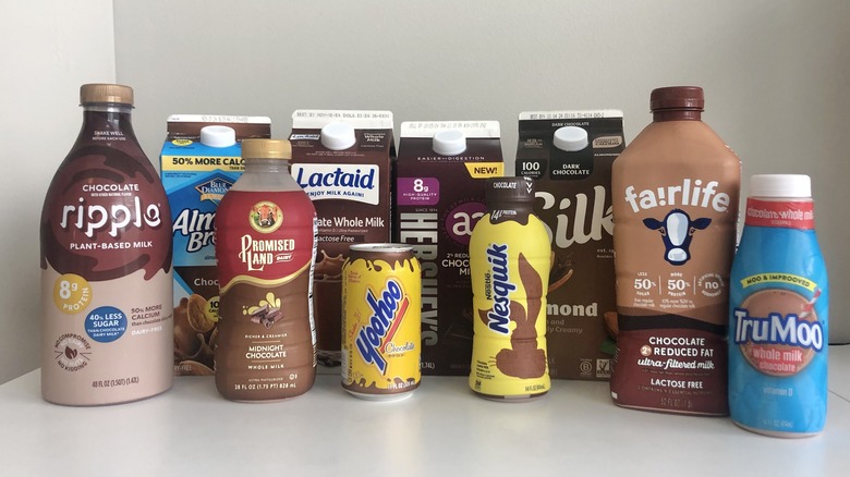 We Tried 10 Chocolate Milk Brands And Ranked Them Worst To Best