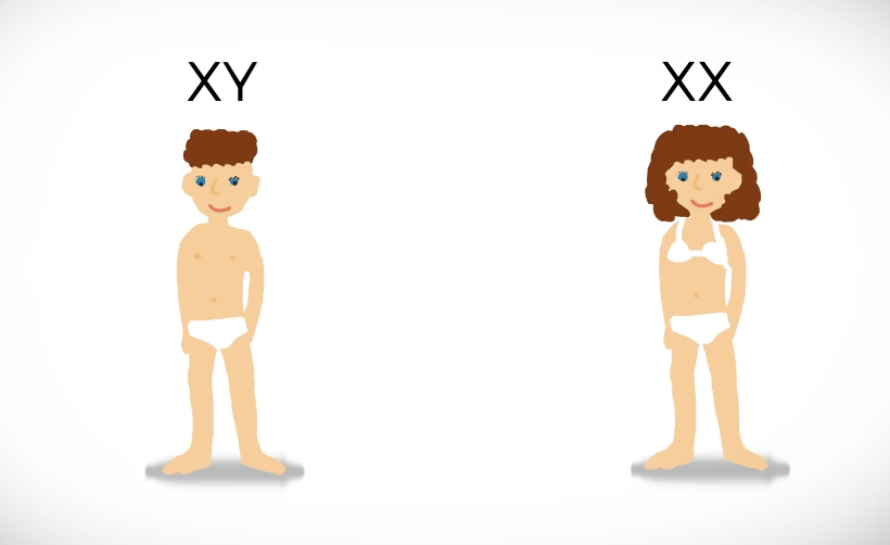 Science: Genes, DNA & Chromosomes Explained Science: Genes, DNA & Chromosomes Explained