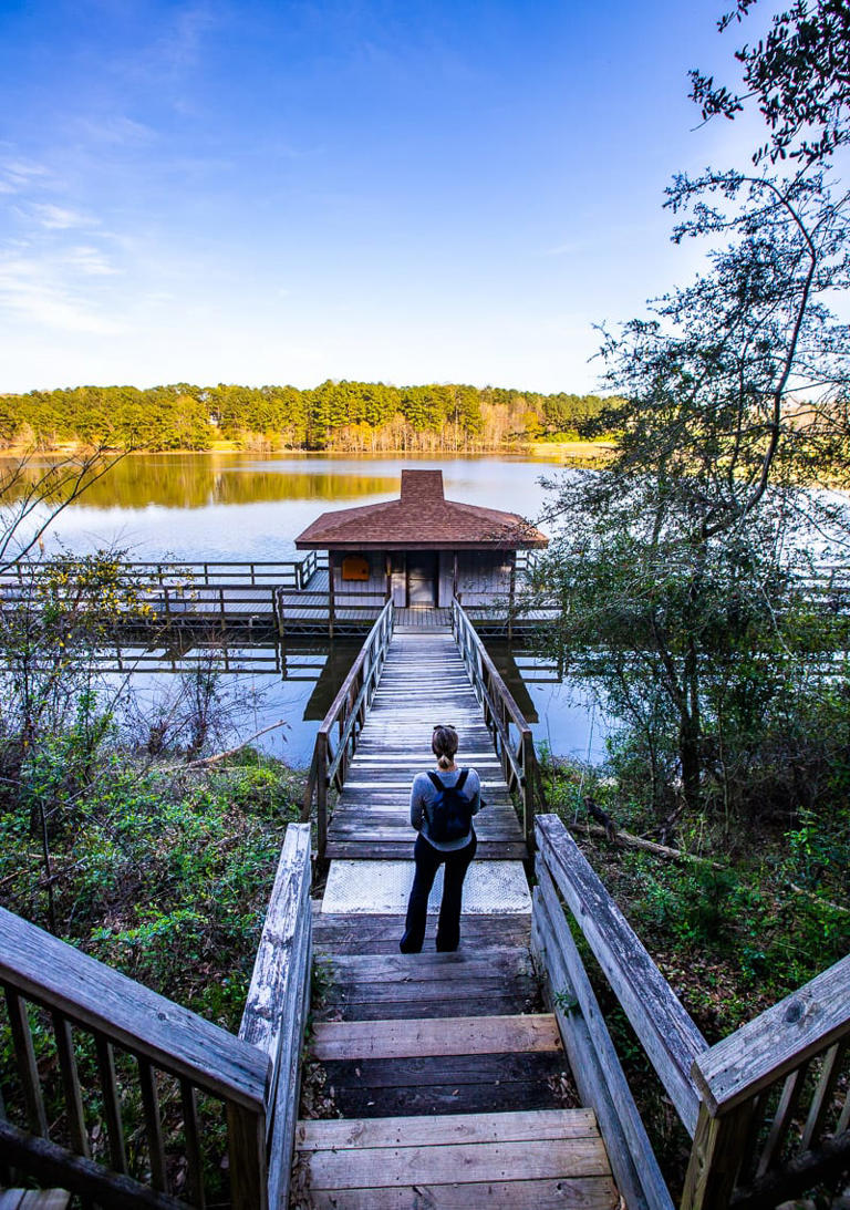 Where To See Fall Colors In Raleigh & The Triangle Region