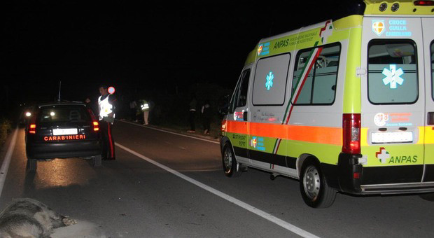 Cinghiale entra in superstrada e viene investito da un'auto: conducente ... Cinghiale entra in superstrada e viene investito da un'auto: conducente ...