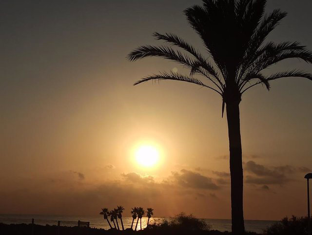 La Comunitat arranca la semana con cielo despejado y temperaturas en ... La Comunitat arranca la semana con cielo despejado y temperaturas en ...