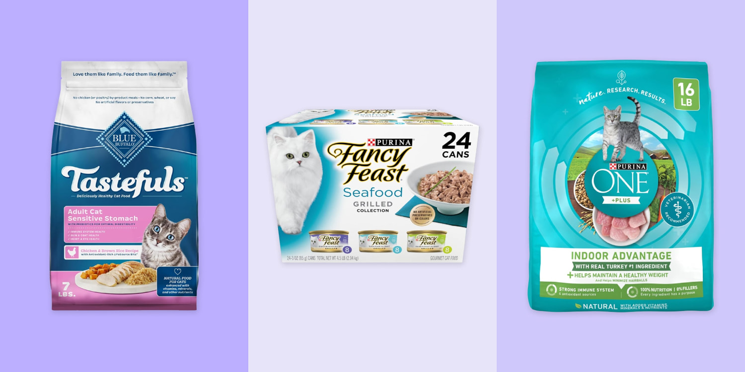 Should cats eat wet food, dry food or both? Vets weigh the pros and cons