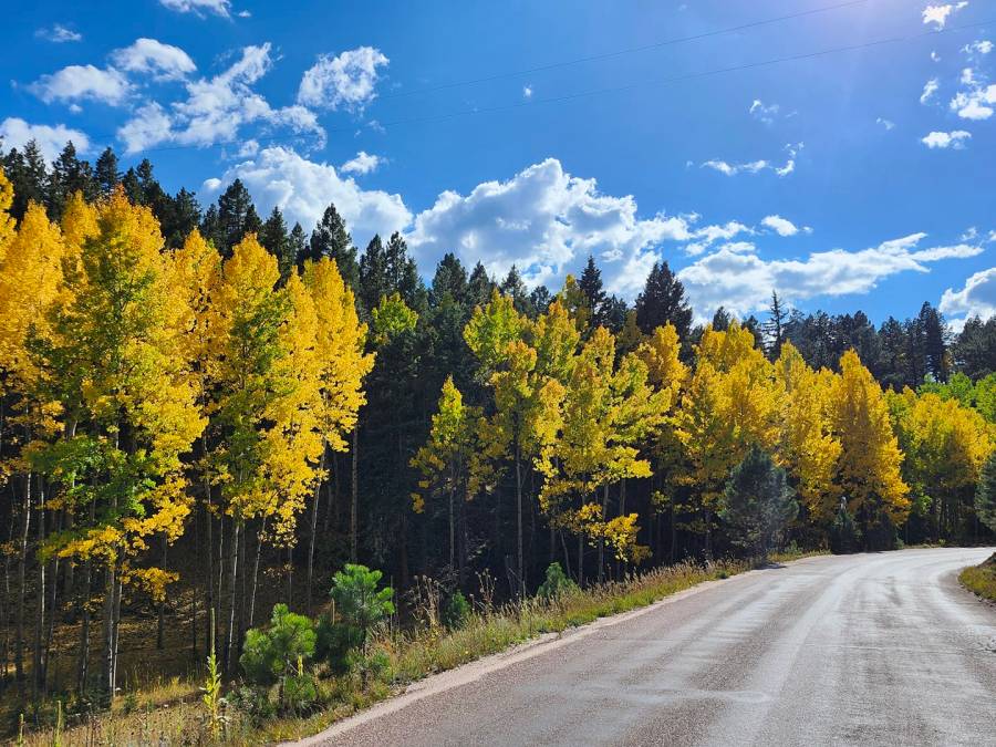 One dead after Rampart Range Road rollover