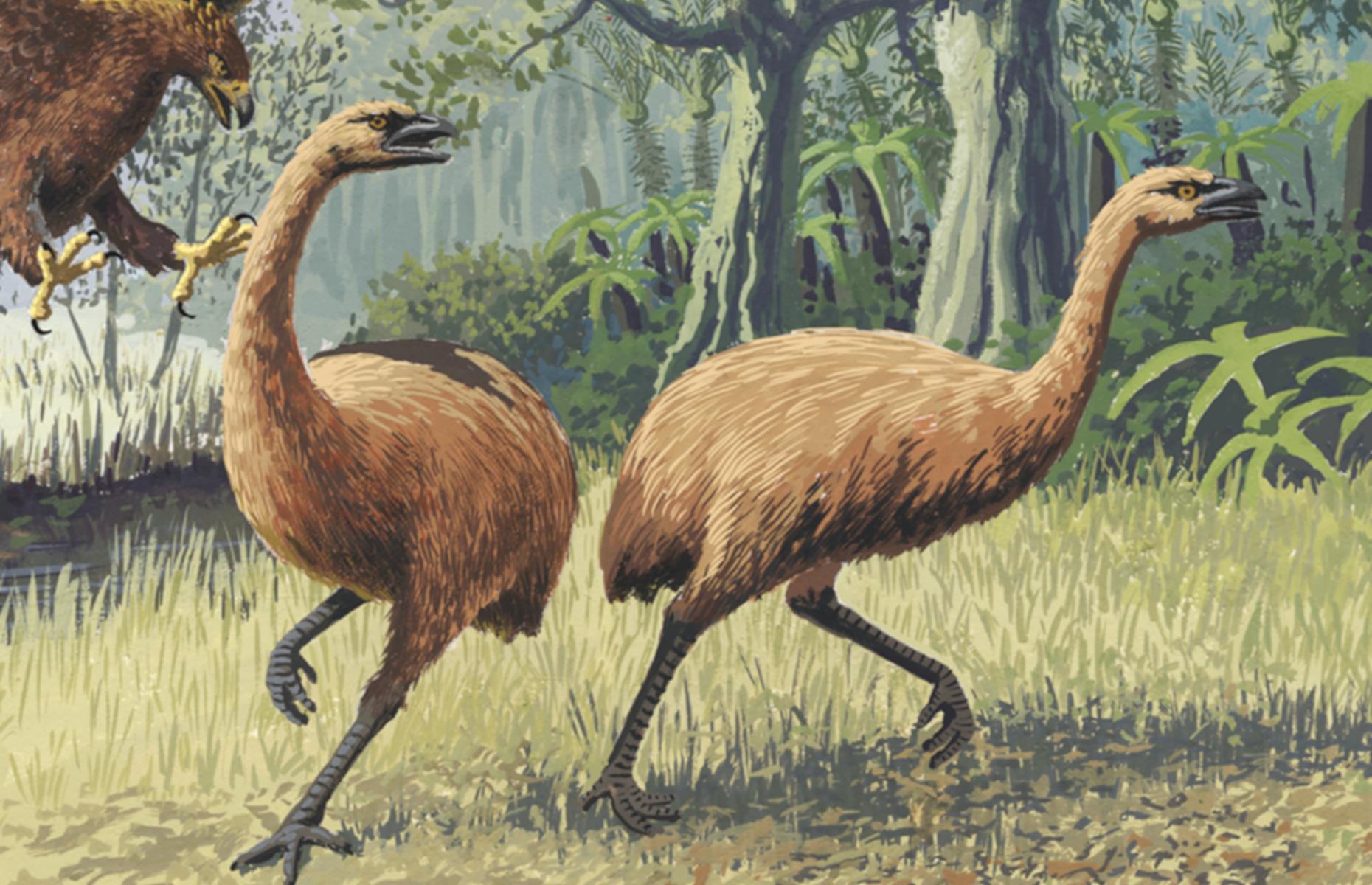 40 incredible extinct creatures that once ruled our planet