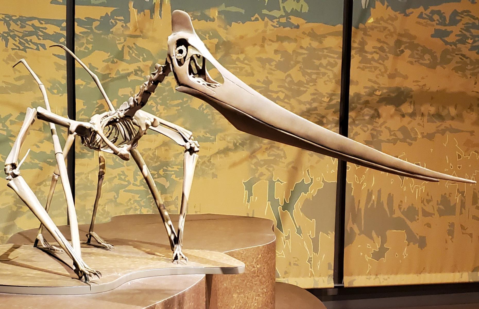 40 incredible extinct creatures that once ruled our planet