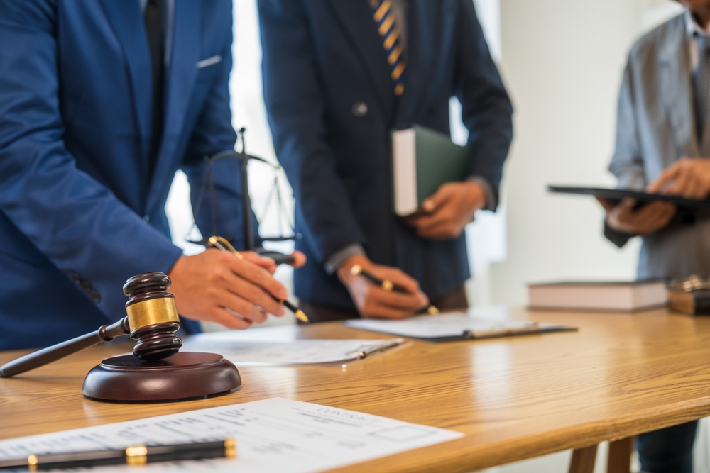 Vetting the experts: How independent evaluation panels measure legal ...