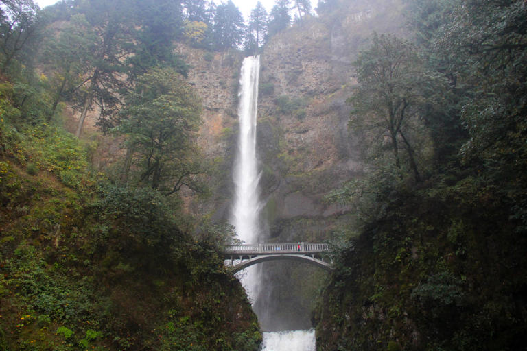 What are the most stunning views in Oregon? Experience our top picks