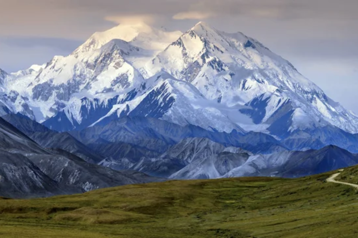 17 Wildlife Viewing Spots in Alaska