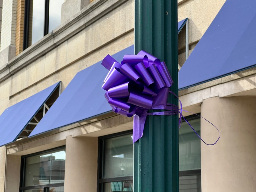 Domestic Violence Awareness initiative to kick off in the Southern Tier