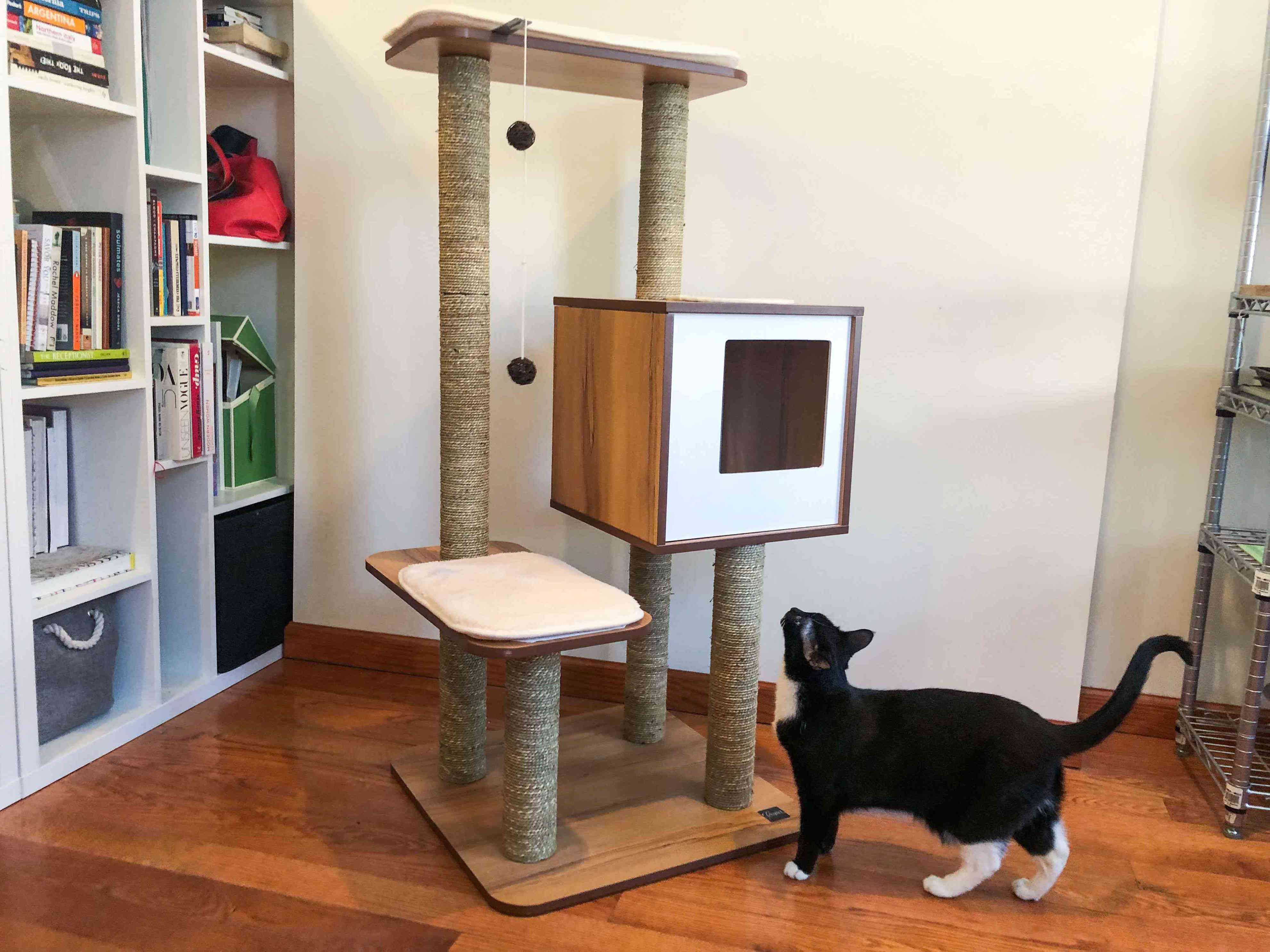 The 10 best cat trees, tested with real cats