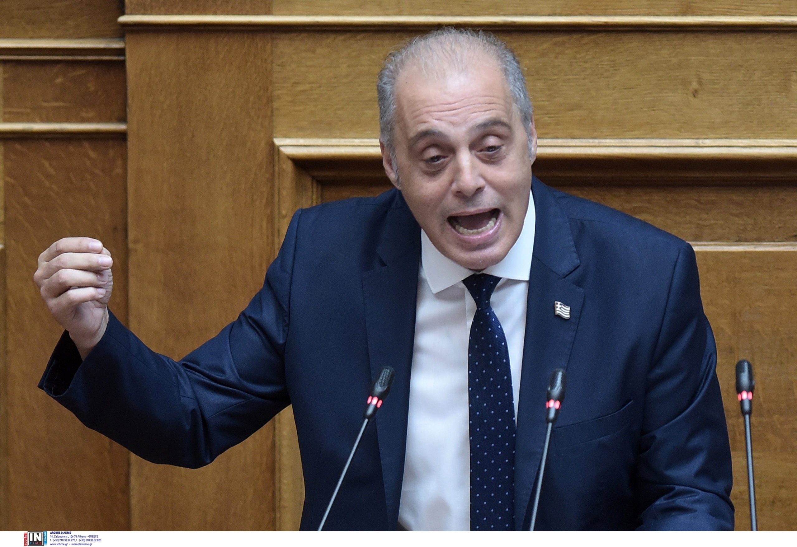 Βελόπουλος: Η «αντιπαράθεση» ΝΔ – ΠΑΣΟΚ είναι ενδοοικογενειακή ...